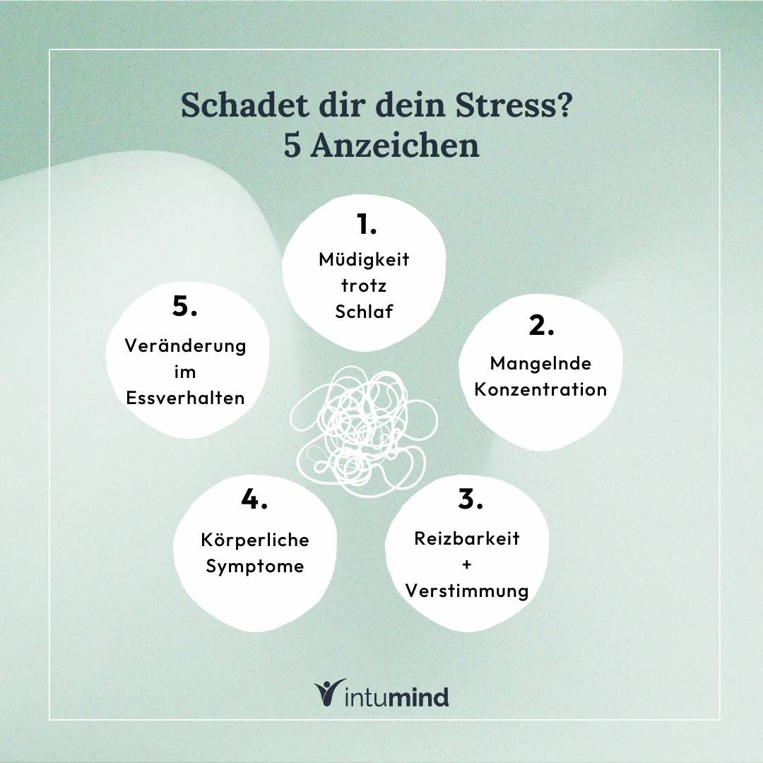 Schadet dir dein Stress? Erkenne diese 5 Anzeichen - intumind